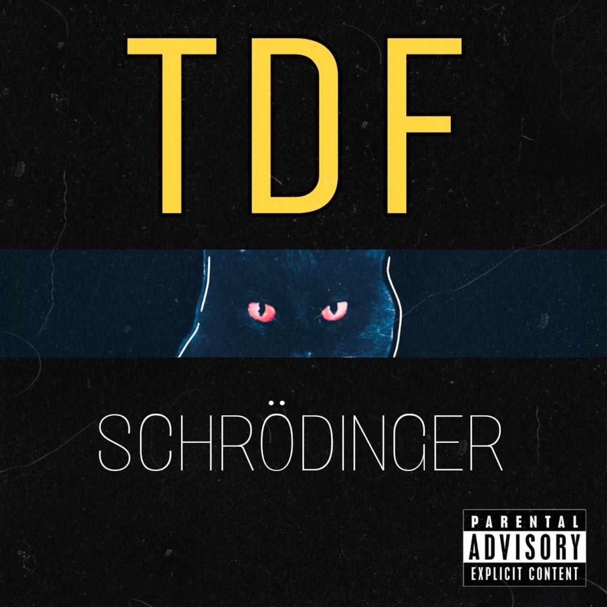 ‎Schrödinger - Single - Album by TDF Mx - Apple Music