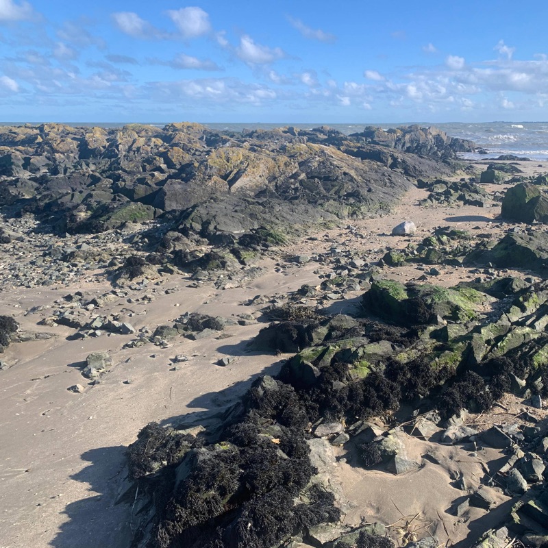 Look out your window - Ryan Healy: Song Lyrics, Music Videos & Concerts