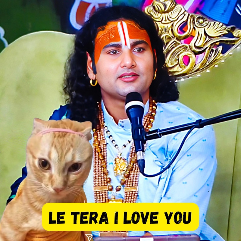 Le Tera I Love You (Maharaj Anirudh Acharya Funny Meme) - Sounds Of ...