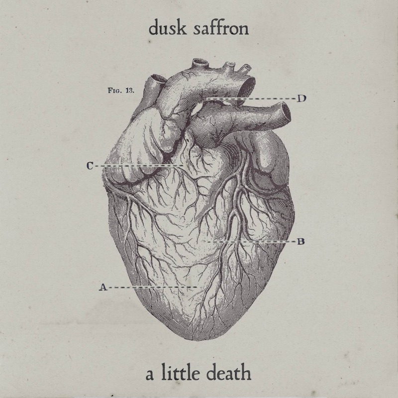 A Little Death - Dusk Saffron: Song Lyrics, Music Videos & Concerts