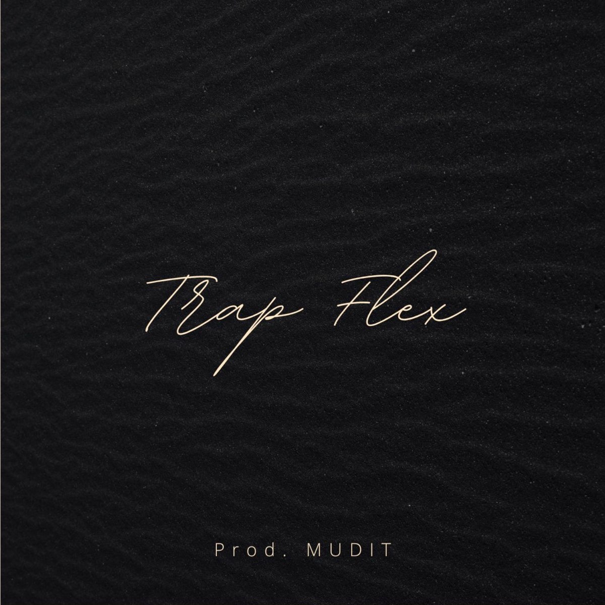 ‎Trap Flex - Single - Album by MUDIT - Apple Music