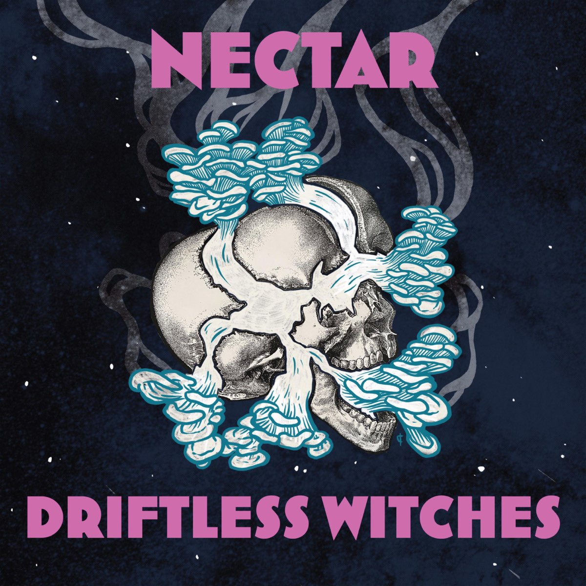 ‎Nectar - Album by Driftless Witches - Apple Music