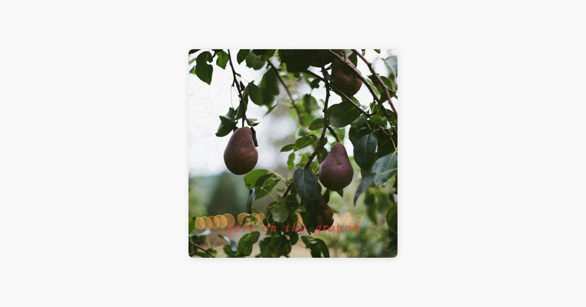 ‎Here On The Ground – Song by Shoecraft & Westmoreland – Apple Music