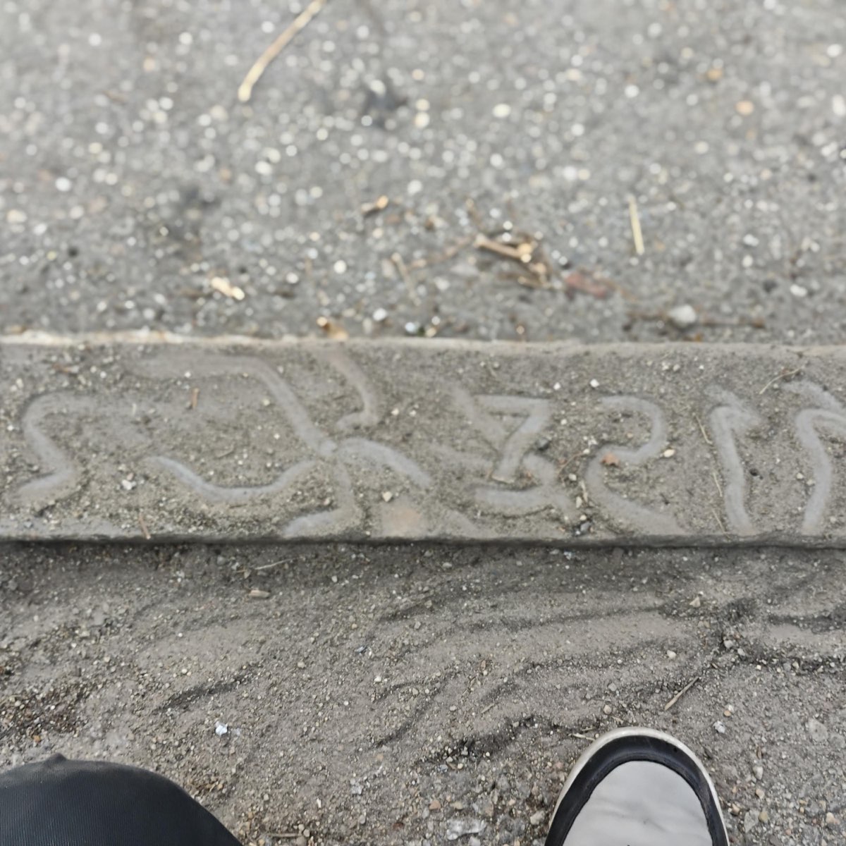 ‎TECH NOTE - Album by Bel X Cin - Apple Music