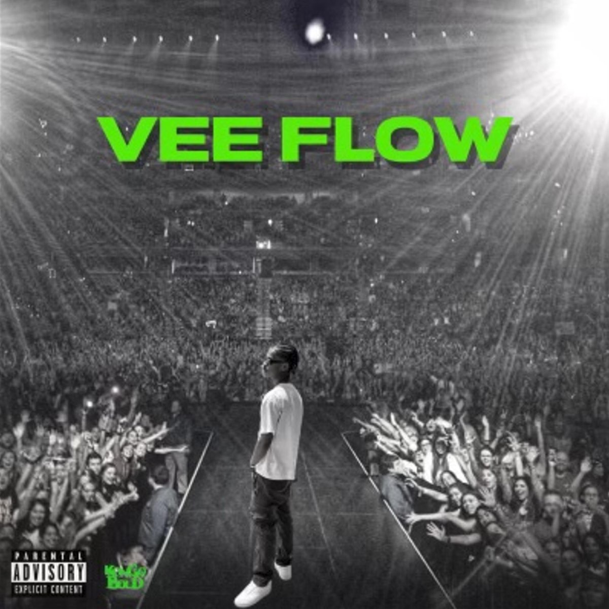 ‎Vee Flow - Single - Album by Veezo - Apple Music