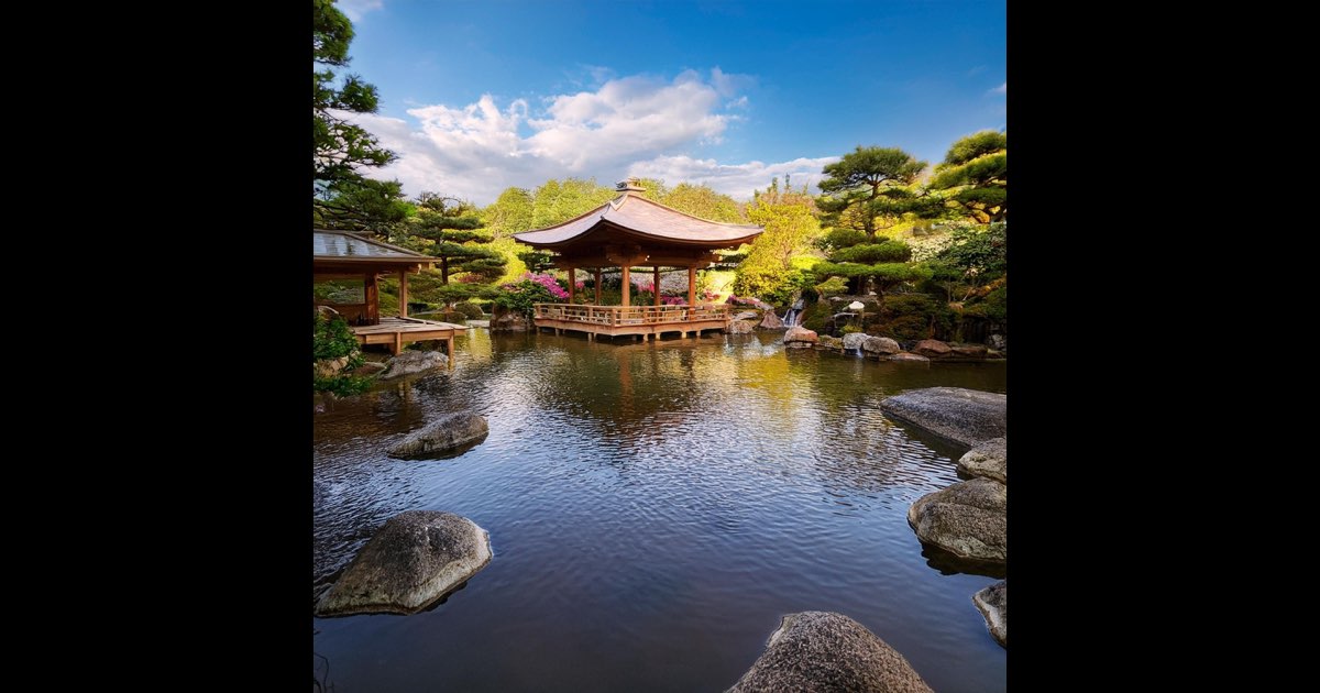 ‎Morning Zen - Album by The Zen Music Collective - Apple Music