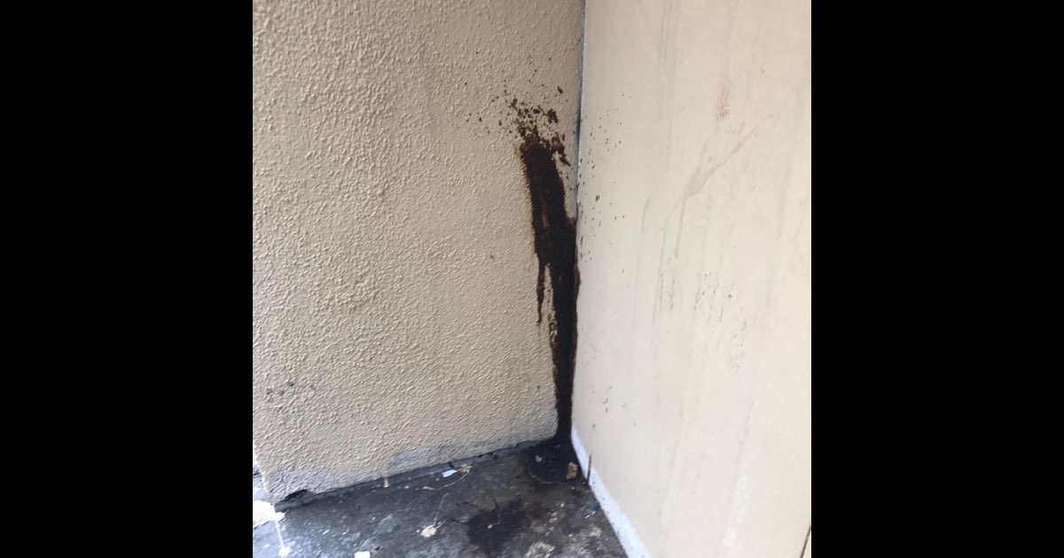 ‎Shadow - Single - Album by PLUMMCORP RECORDS & KESHORE - Apple Music