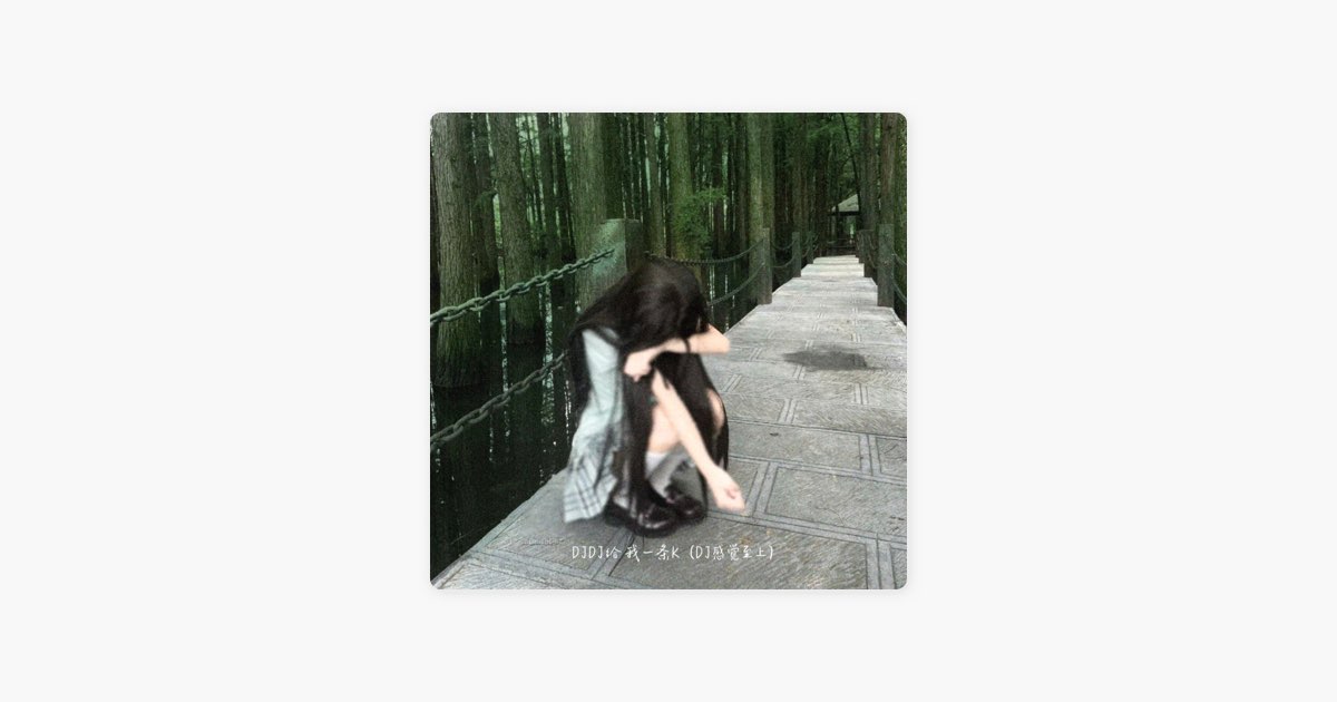 ‎DJDJ给我一条K (Dj感觉至上) - DJ小李子の曲 - Apple Music