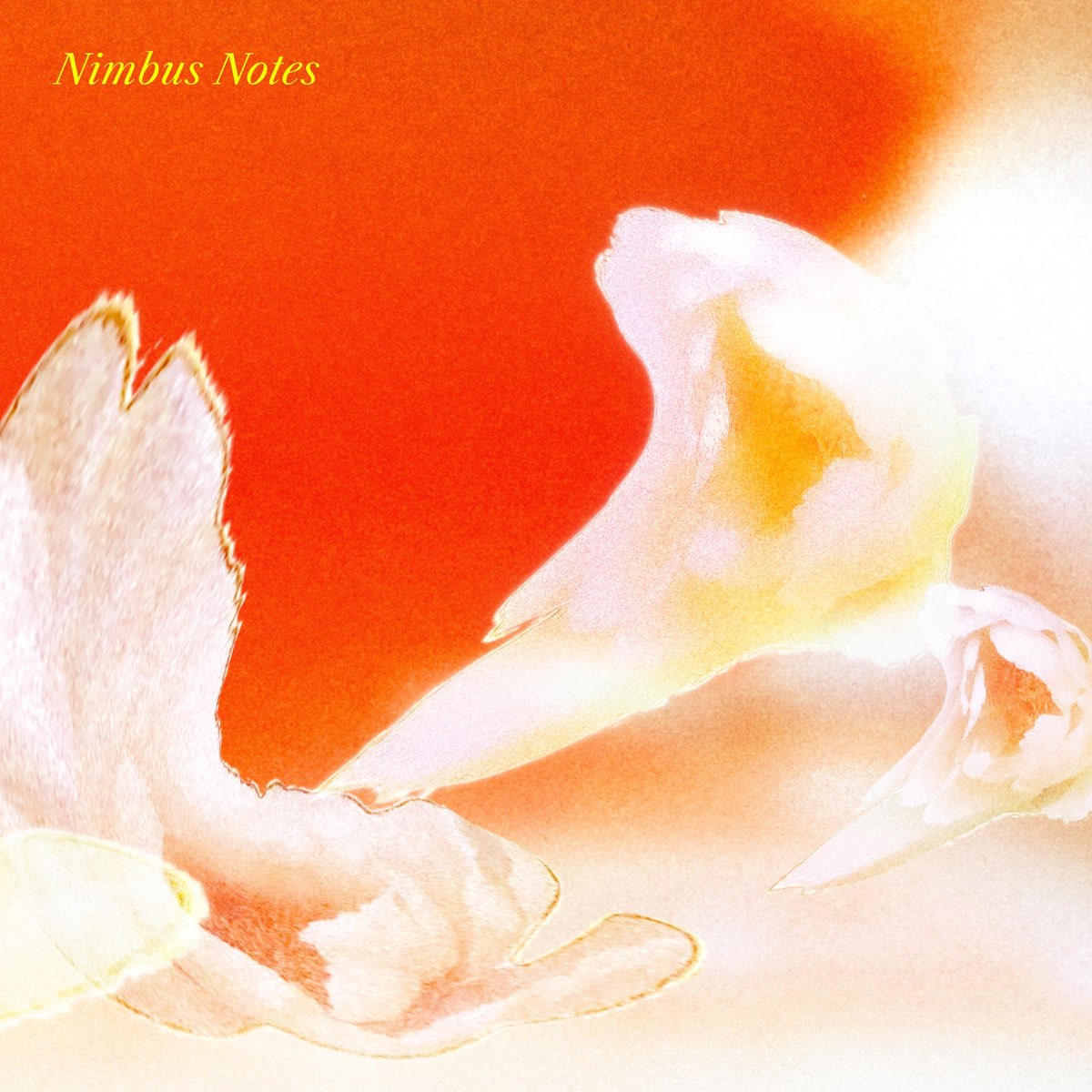 ‎Nimbus Notes - Album by Oskar August - Apple Music