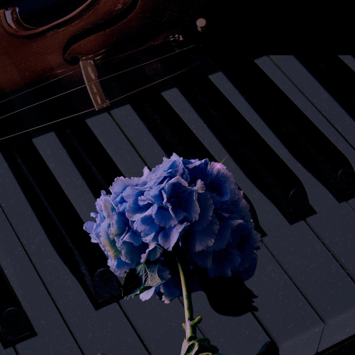 ‎Passacaglia (Piano & Cello Version) - Single - Album by Bonnie Louise ...