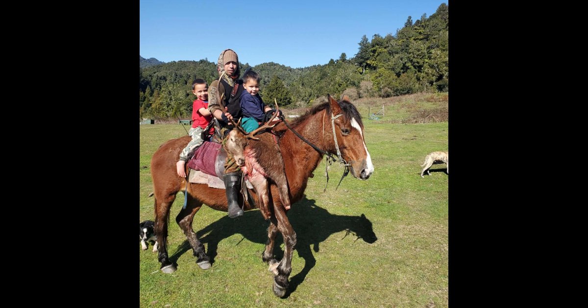 ‎MVR - Single - Album by Te mauri Amoroa VALLEY HUNTER - Apple Music