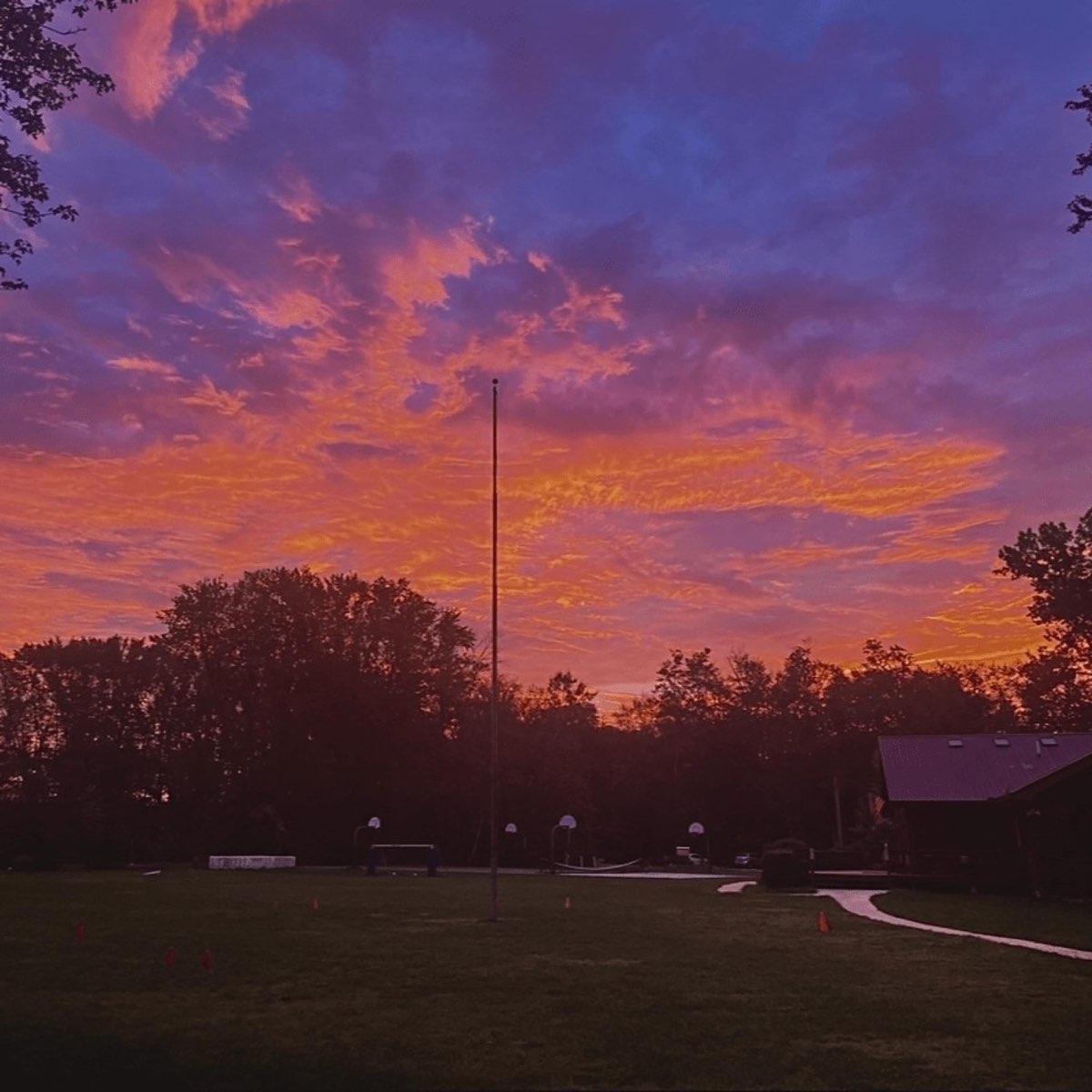 ‎Masayoshi Takanaka - Single - Album by Sumo - Apple Music