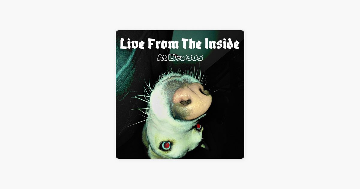 ‎Cheap Beer (Live) - Song by Gobblinz - Apple Music