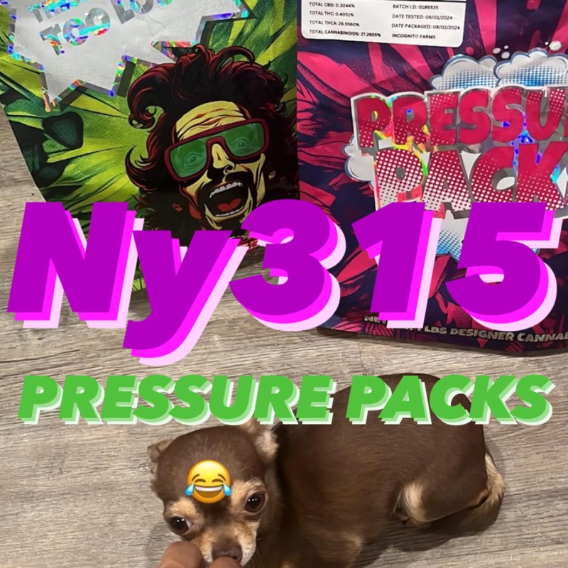 PRESSURE PACKS - Ny315: Song Lyrics, Music Videos & Concerts