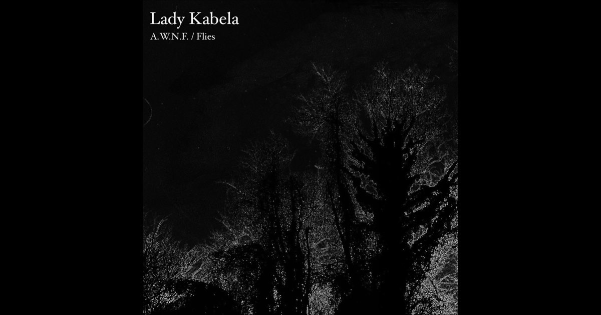 ‎A.W.N.F. / Flies - Single – Album par Lady Kabela – Apple Music