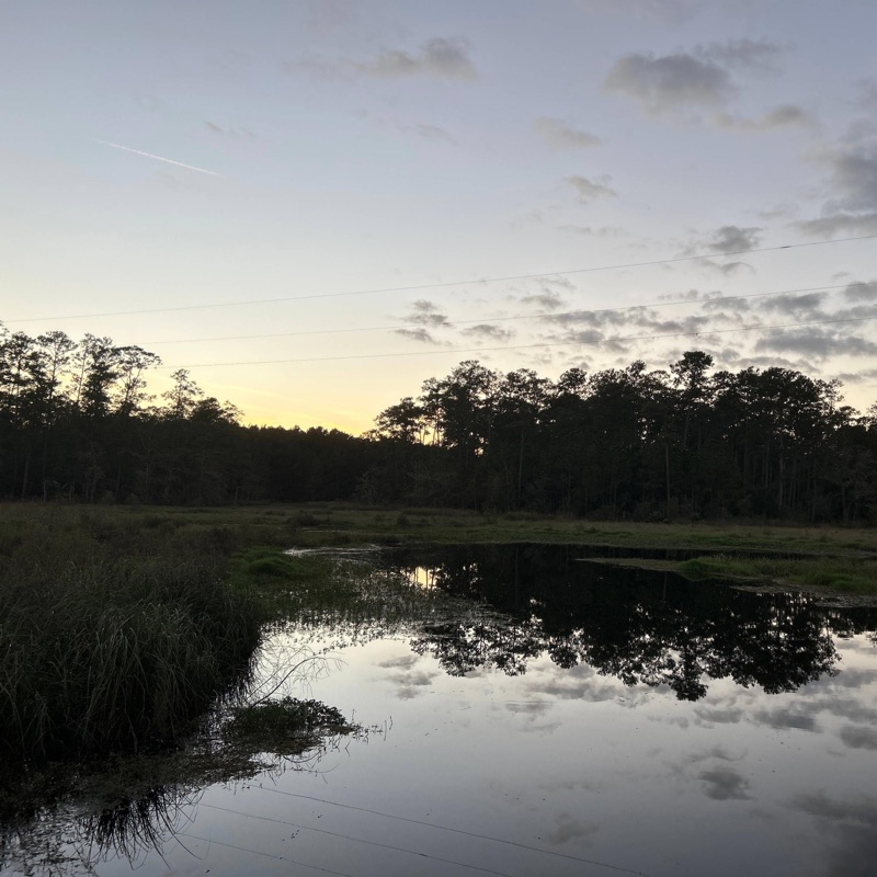 promiscuous lebron - JPEGJJ: Song Lyrics, Music Videos & Concerts