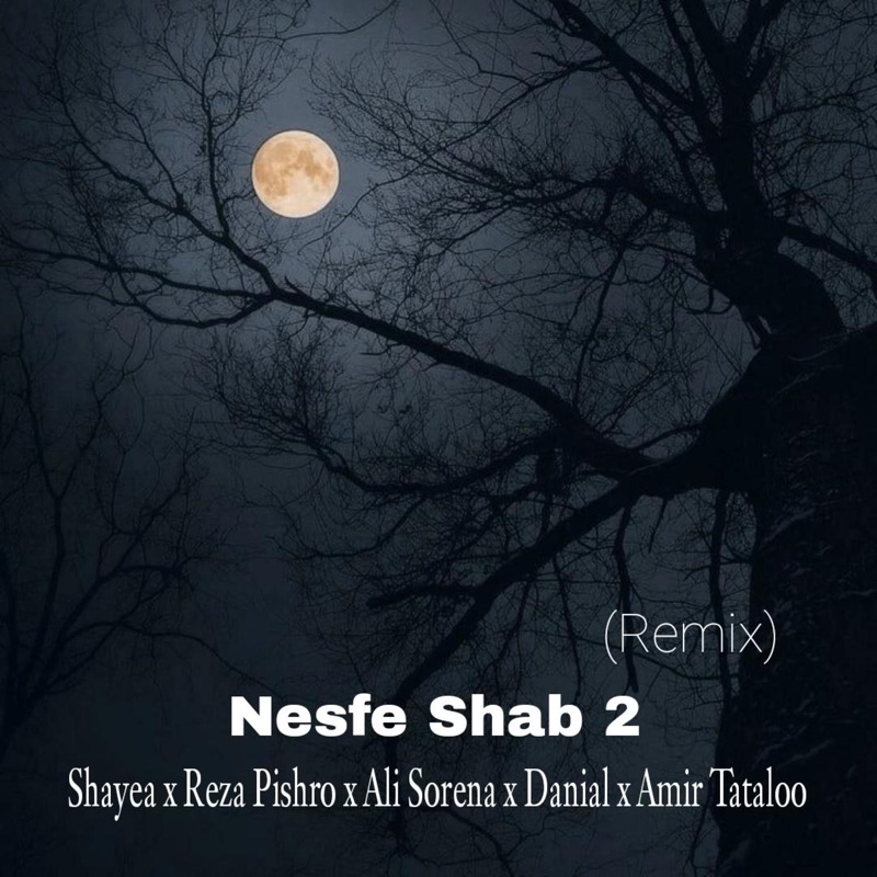 Nesfe Shab 2 (Shayea x Reza Pishro x Ali Sorena x Danial x Amir Tataloo ...