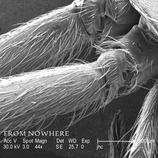 Fade (Format 4 Rework) - Format 4 | Shazam