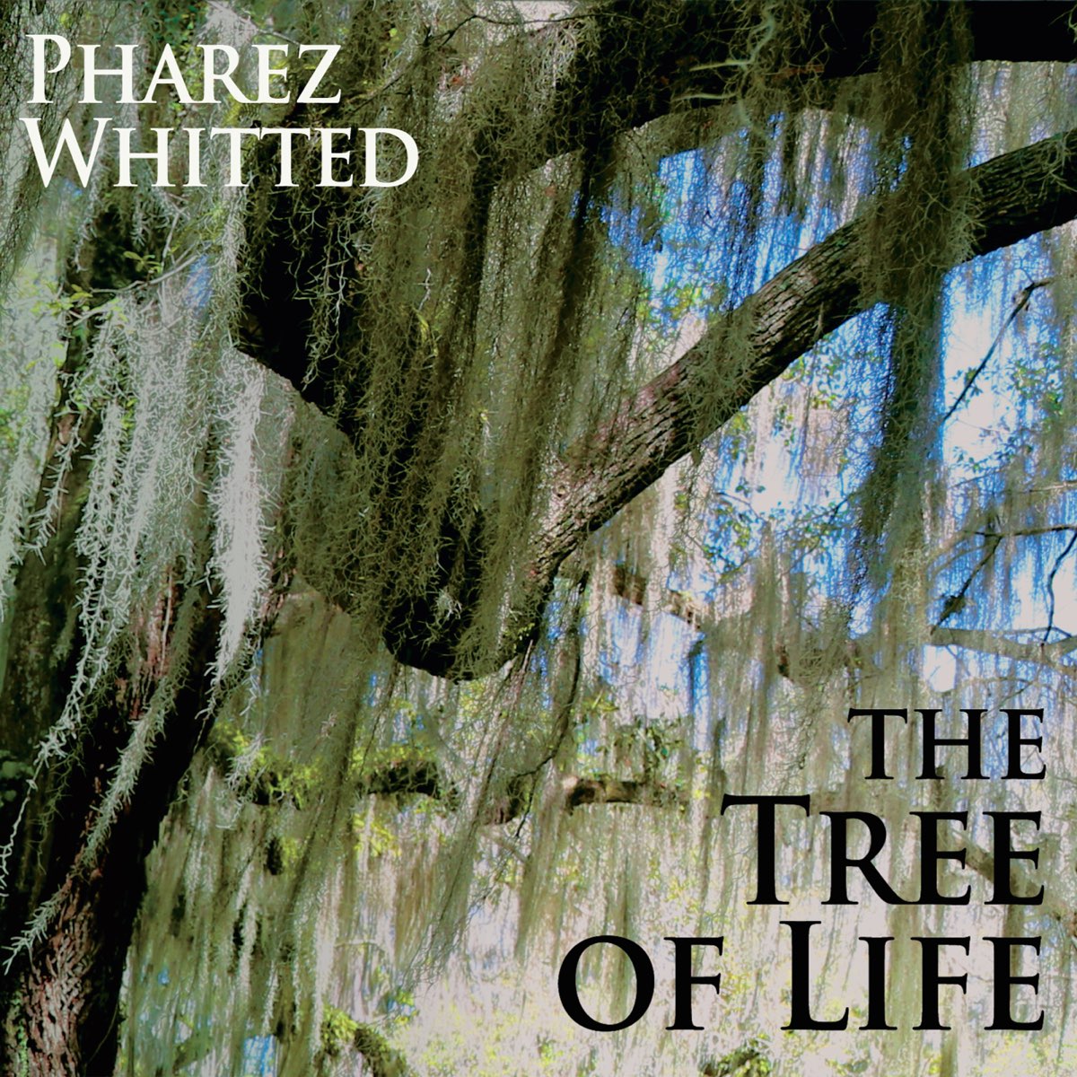 ‎The Tree of Life - Album by Pharez Whitted - Apple Music