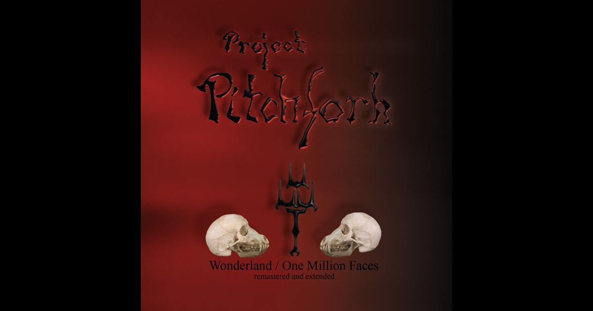 ‎Wonderland / One Million Faces (Remastered) - Album oleh Project ...