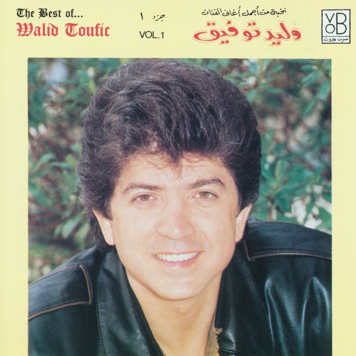 ‎وليد توفيق在 Apple Music 上的《Best of Walid Toufic, Vol. 1》