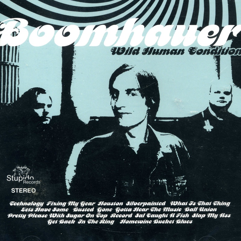 What Is That Thing - Boomhauer: Song Lyrics, Music Videos & Concerts