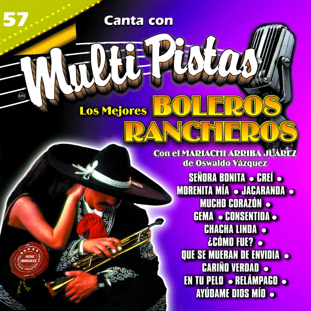 Canta Con Multi Pistas Los Mejores Boleros Rancheros (Karaoke Versions ...