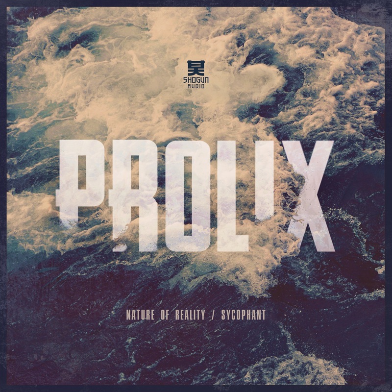 Nature of Reality - Prolix: Song Lyrics, Music Videos & Concerts