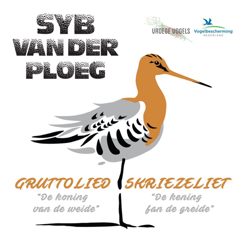 Gruttolied (Koning van de weide) - Syb van der Ploeg: Song Lyrics ...