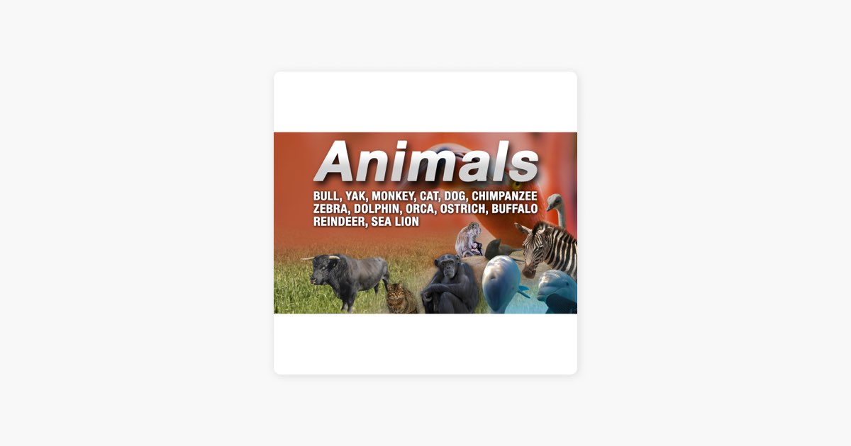 ‎Reindeers, Onboard, Exterior, Licking, Fast, Aggressive, Snappy ...