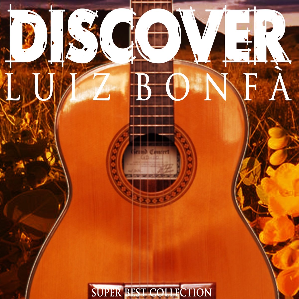 ‎Discover (Remastered) – Album par Luiz Bonfà – Apple Music