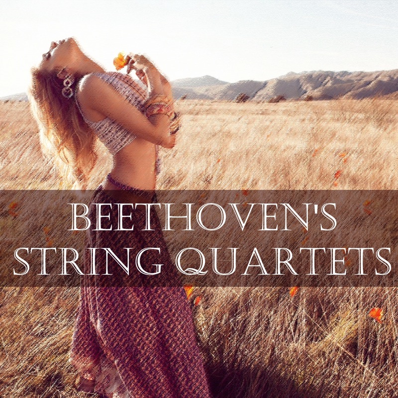 String Quartet No. 3 in D Major, Op. 18 No. 3: III. Allegro - Amadeus Quartet: Song Lyrics ...