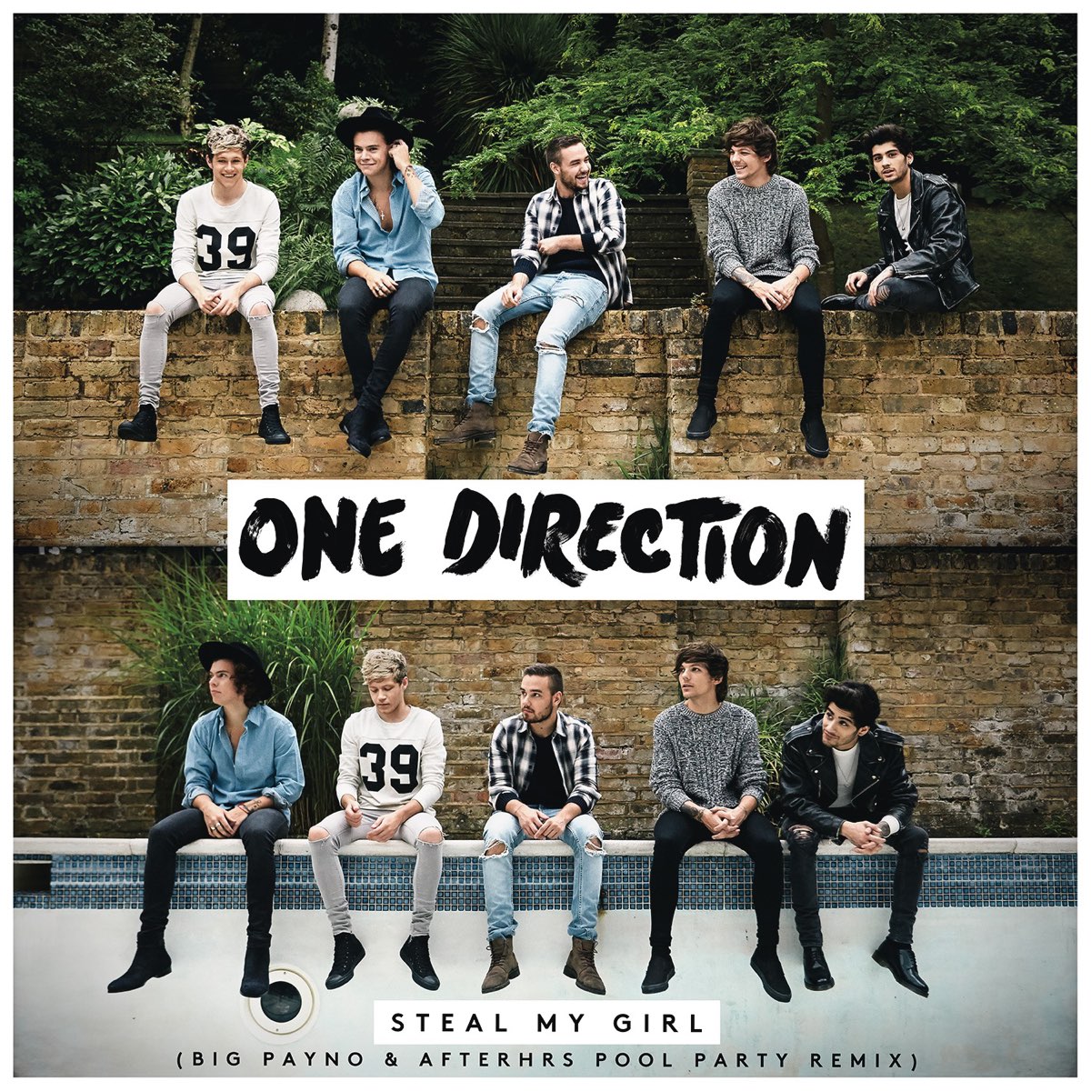 ‎Steal My Girl (Big Payno & Afterhrs Pool Party Remix) - Single - Album ...