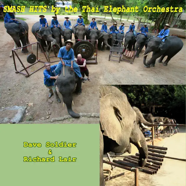 ‎Smash Hits By the Thai Elephant Orchestra by Richard Lair - Apple ...