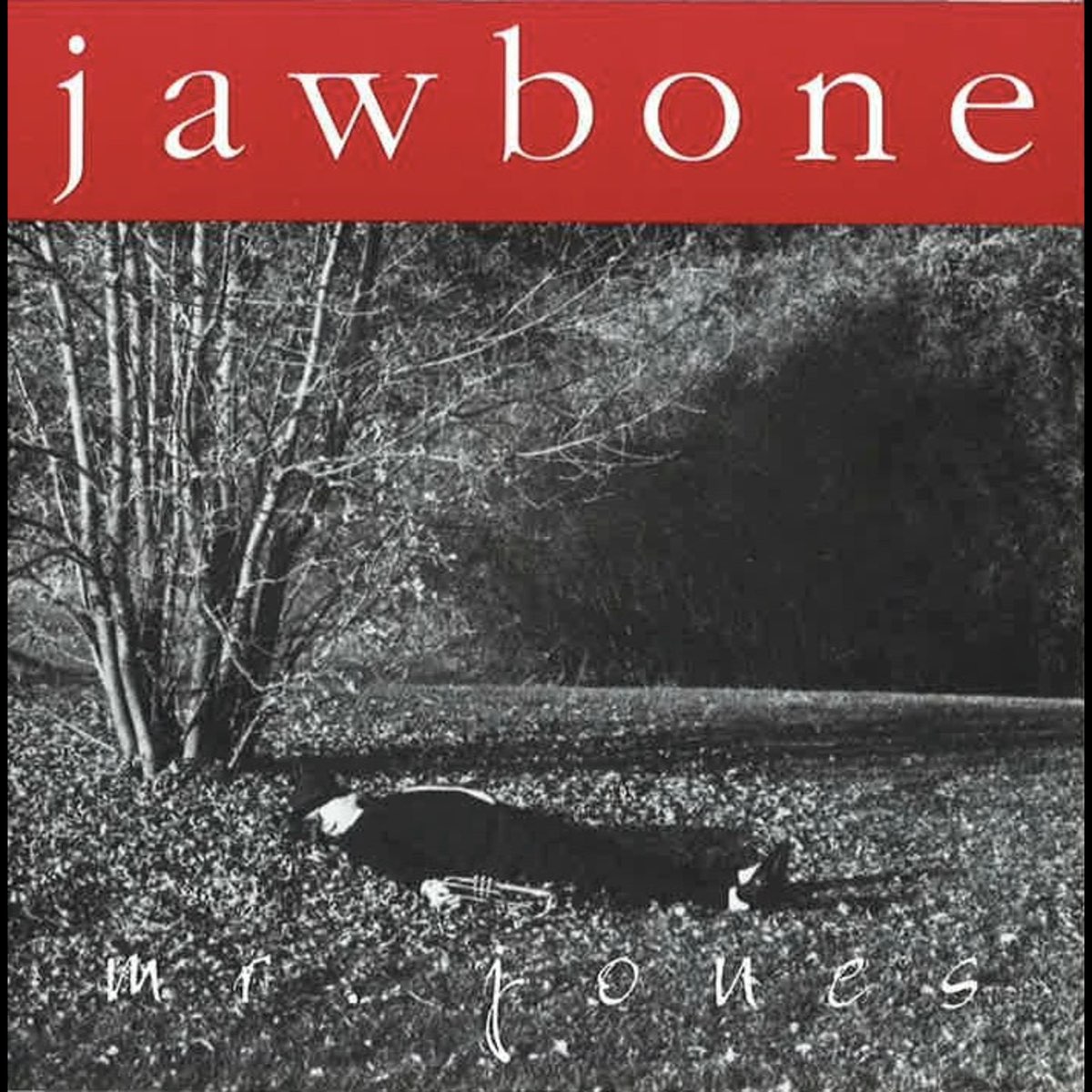 ‎Mr. Jones - Album by Jawbone - Apple Music