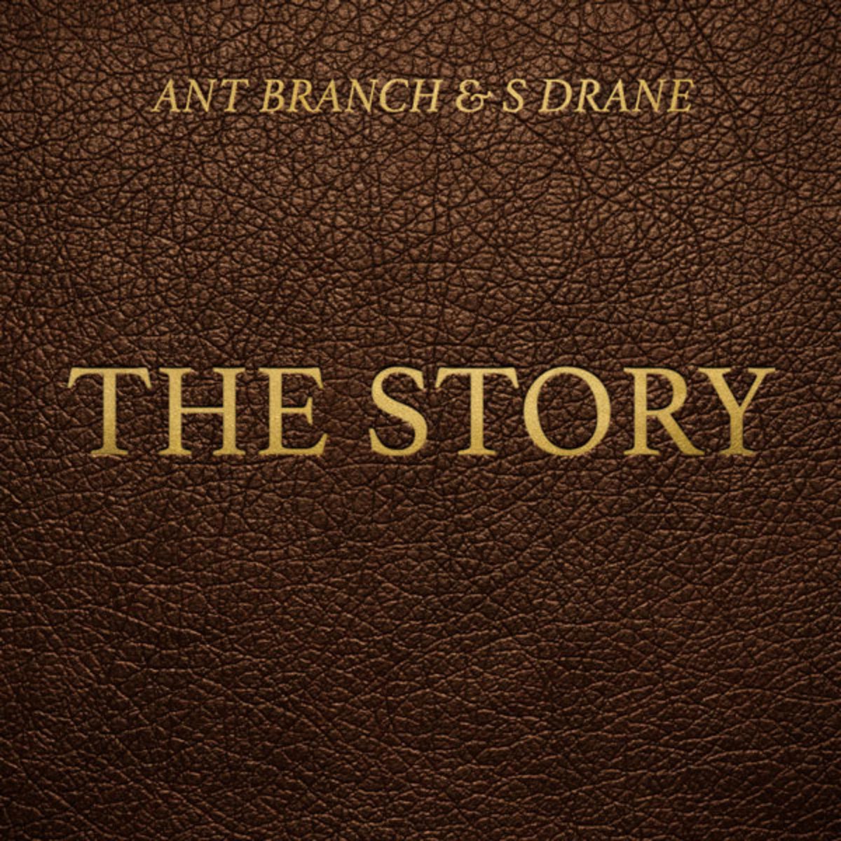 ‎The Story - Album by Ant Branch & S. Drane - Apple Music