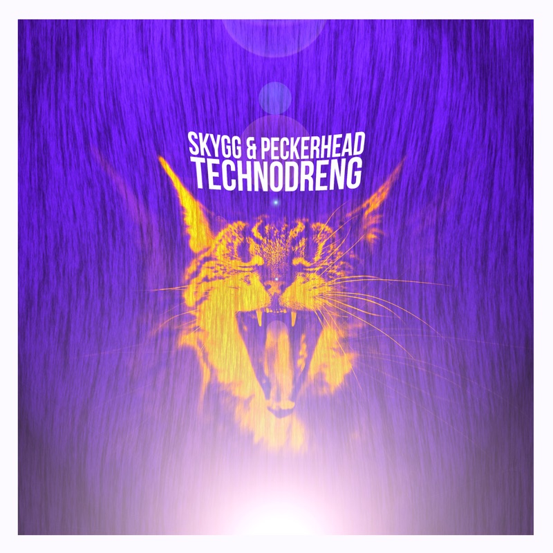 Citroner & Salt (Har du noget coke?) - Skygg & Peckerhead: Song Lyrics ...