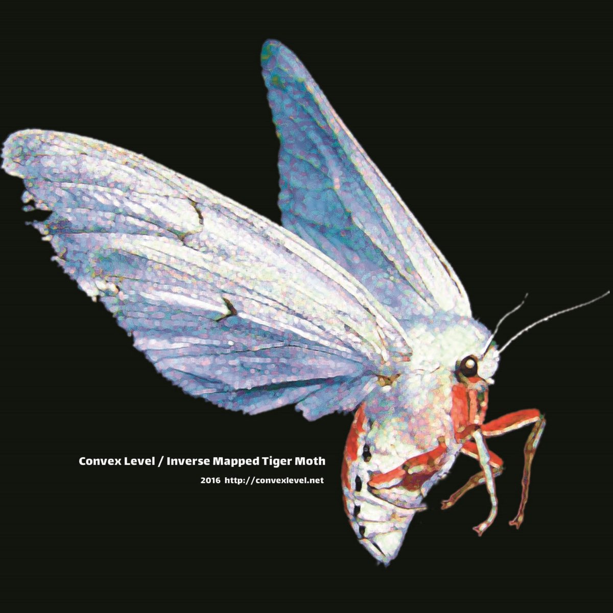 ‎Inverse Mapped Tiger Moth - Album by Convex Level - Apple Music