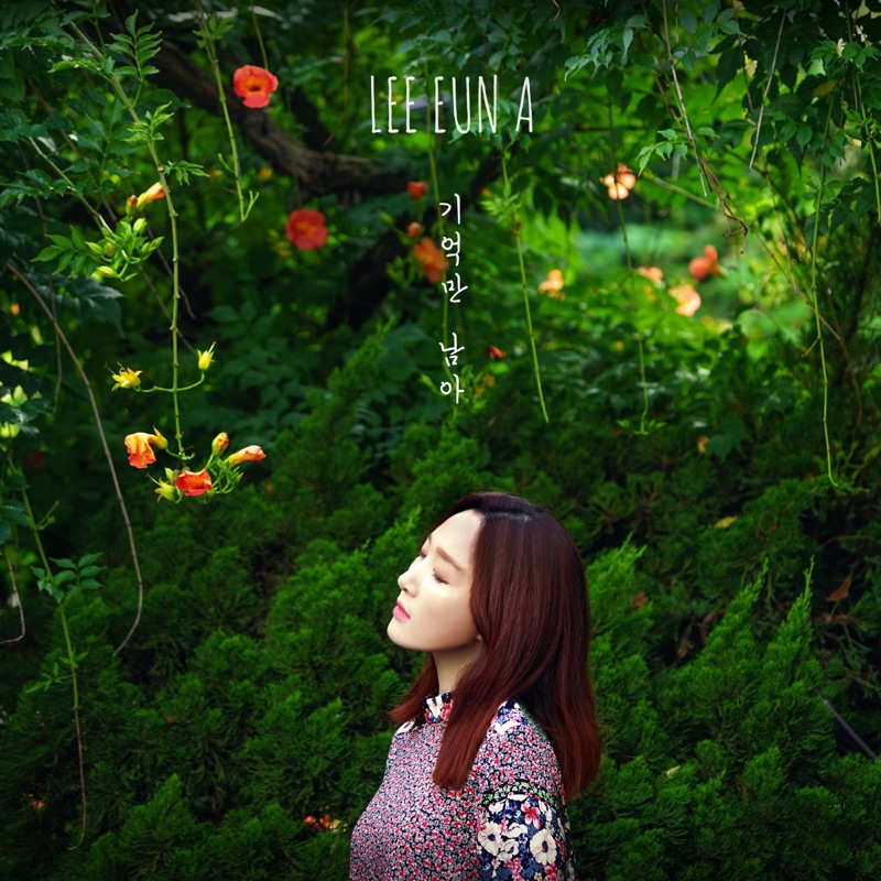기억만 남아 - Lee Euna: Song Lyrics, Music Videos & Concerts