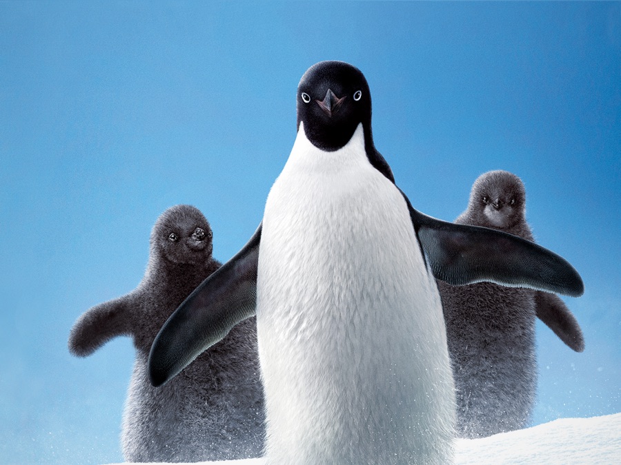 Disneynature Penguins - Apple TV