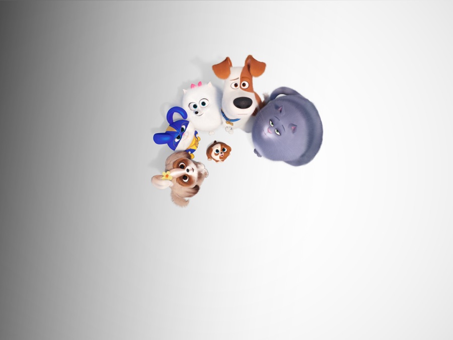 The Secret Life of Pets 2 - Apple TV (IN)