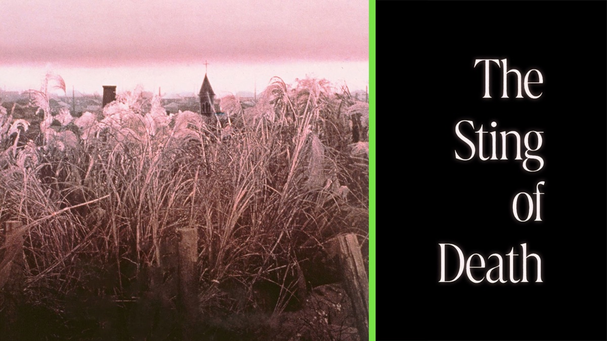 ‎The Sting of Death - Apple TV