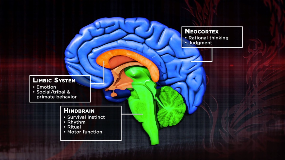 De-escalating Your Monkey Brain - Understanding and Applying Self ...