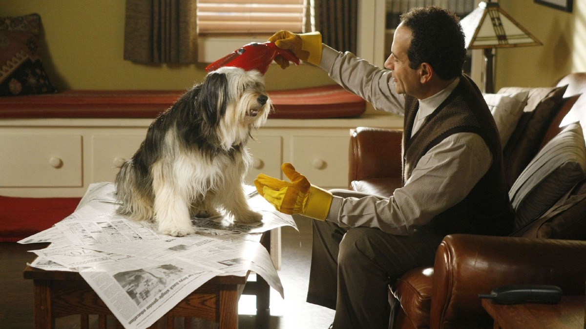 ‎Mr. Monk and the Dog - Monk (Series 8, Episode 11) - Apple TV (BR)