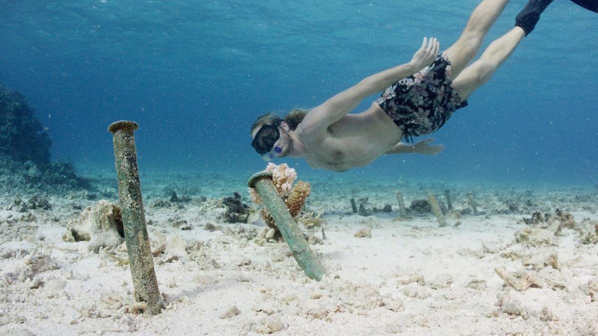 Sea Snakes - Bluewater Safari (Season 1, Episode 6) - Apple TV