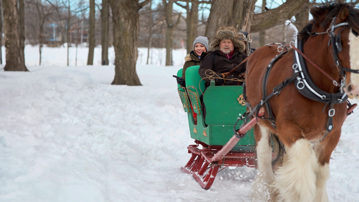 A Royal Christmas Crush - Apple TV