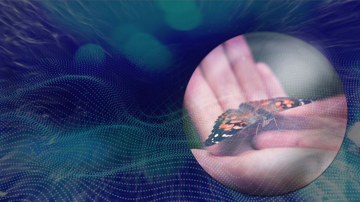 What is Reality? – Down the Quantum Rabbit Hole (Season 1, Episode 1) - Apple TV (NZ)