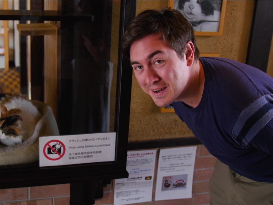 Cat Nation - Apple TV