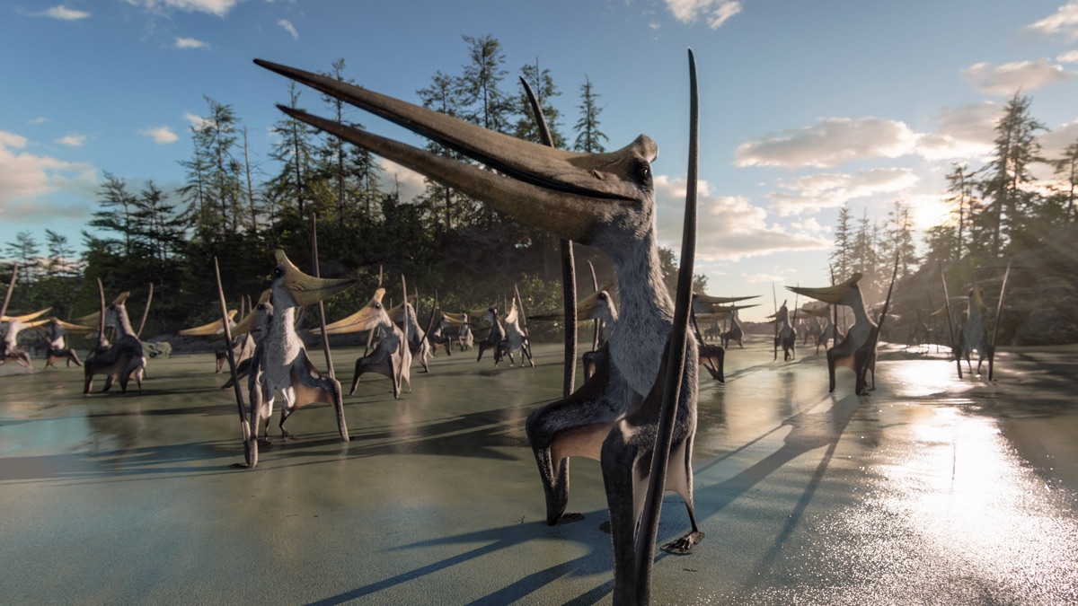 Watch Pterosaur Beach - Prehistoric Planet Immersive (Season 1, Episode ...