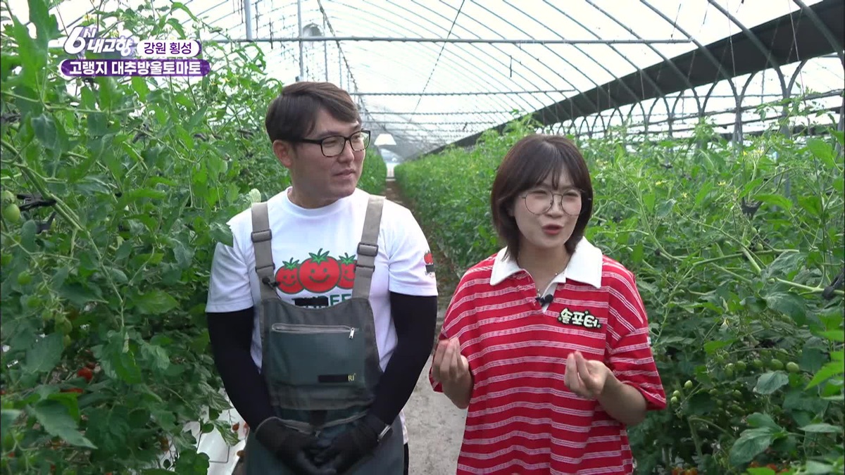 ‎에피소드 2611 - 6시 내고향(시즌 2, 에피소드 2611) - Apple TV (KR)